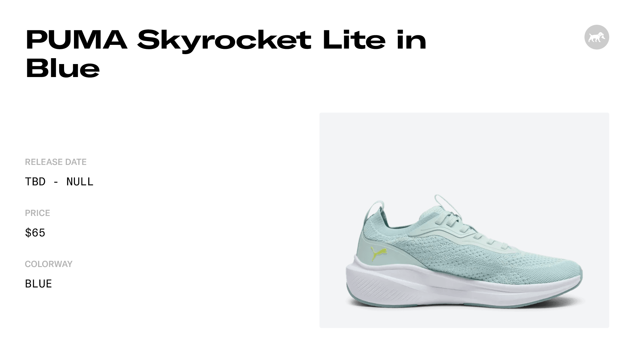 PUMA Skyrocket Lite in Blue - 311237-16 Release Info