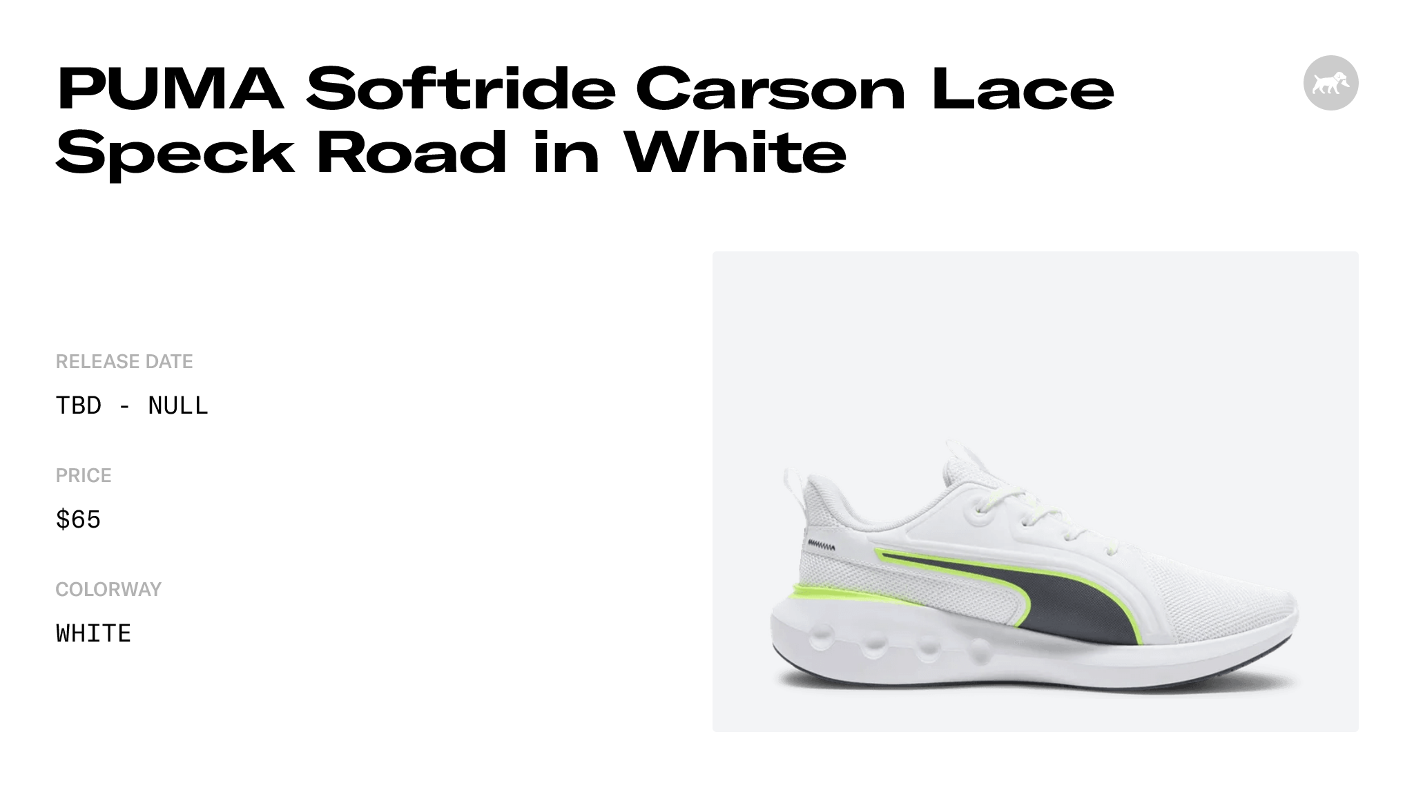 PUMA Softride Carson Lace Speck Road in White - 312333-01 Release Info