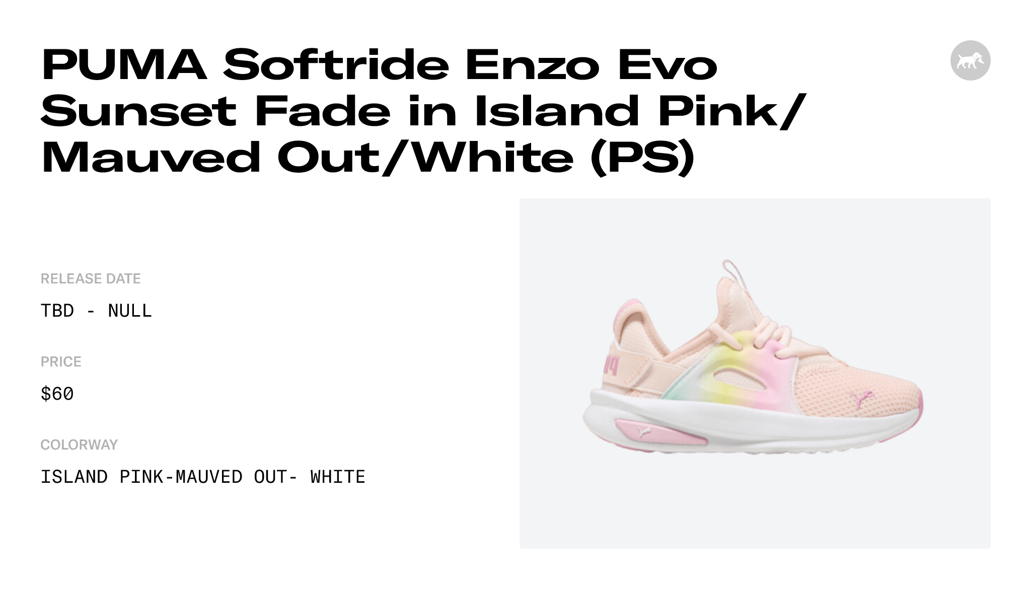PUMA Softride Enzo Evo Sunset Fade in Island Pink/Mauved Out/White (PS ...