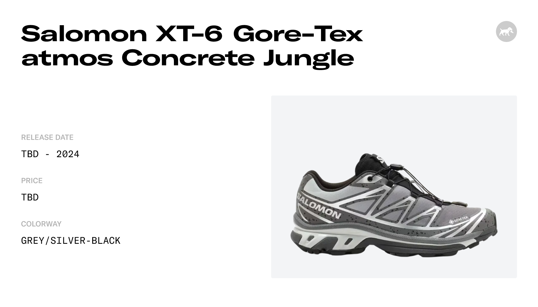 Salomon XT-6 Gore-Tex atmos Concrete Jungle - L47830100 Release Info