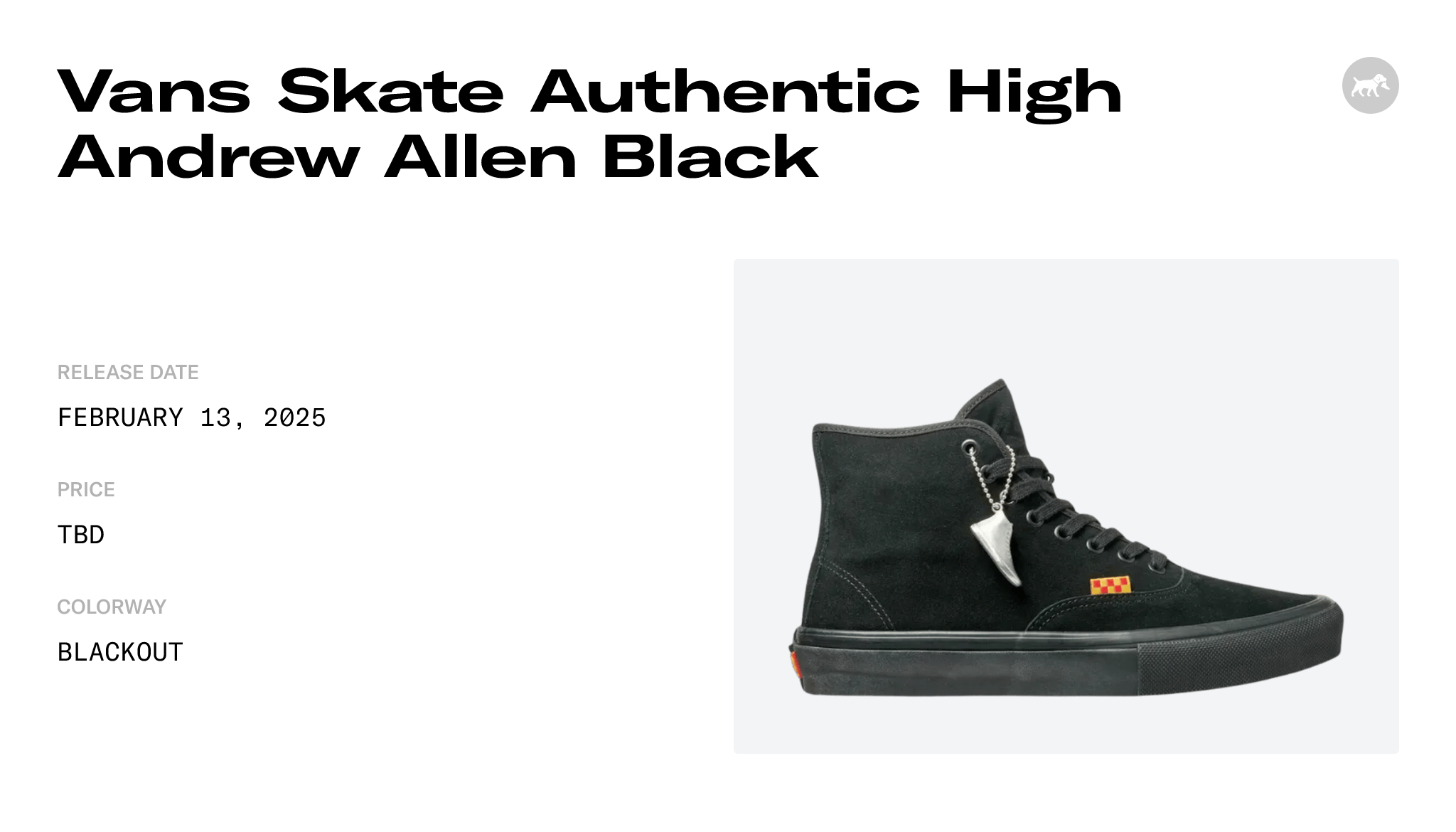 Vans Skate Authentic High Andrew Allen Black - VN000D901OJ