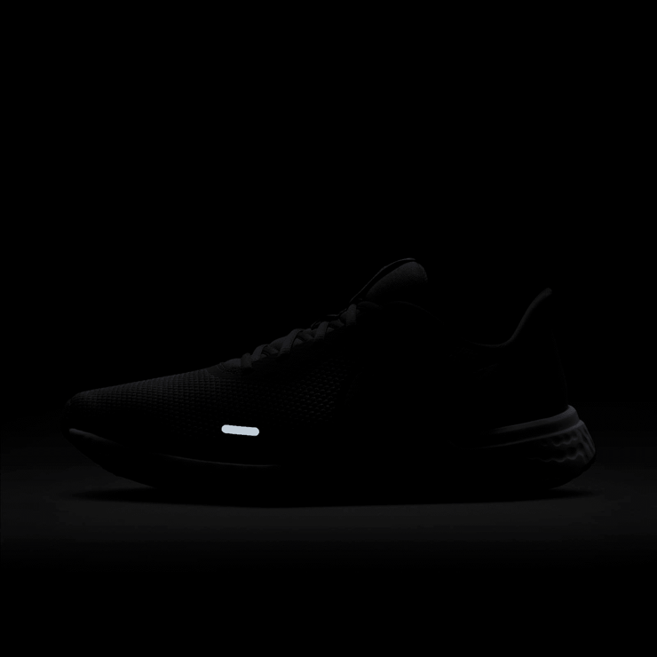 Nike Revolution 5 Cool Grey - BQ3204-005 Release Info