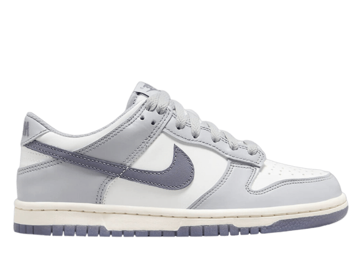 Nike Dunk Low Platinum Tint Light Carbon (GS) - FB9109-101 Release Info