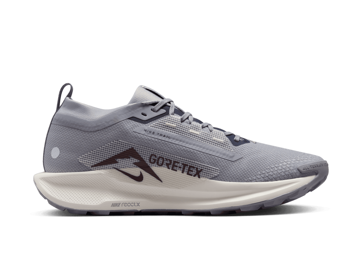 Nike Pegasus Trail 5 GORE-TEX Waterproof Trail - FQ0908-006