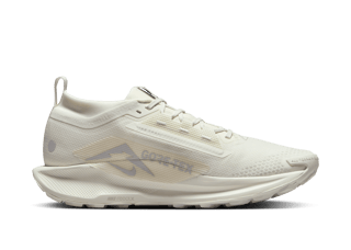Nike Pegasus Trail 5 GORE-TEX Waterproof Trail - FQ0908-101