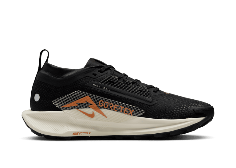 Nike Pegasus Trail 5 GORE-TEX Waterproof Trail - FQ0912-005 Release Info